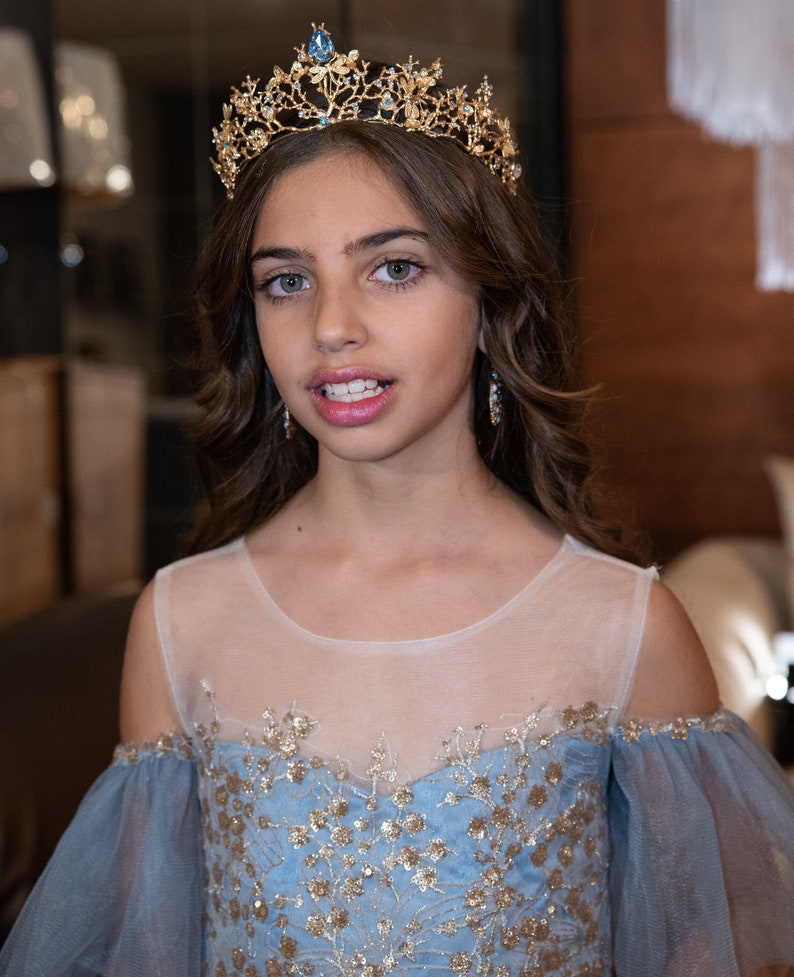 Blue & Gold Princess Dress Blue princess Dress Gold Princess | Etsy