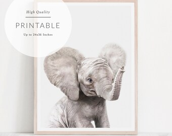 Baby Elephant Print | Etsy