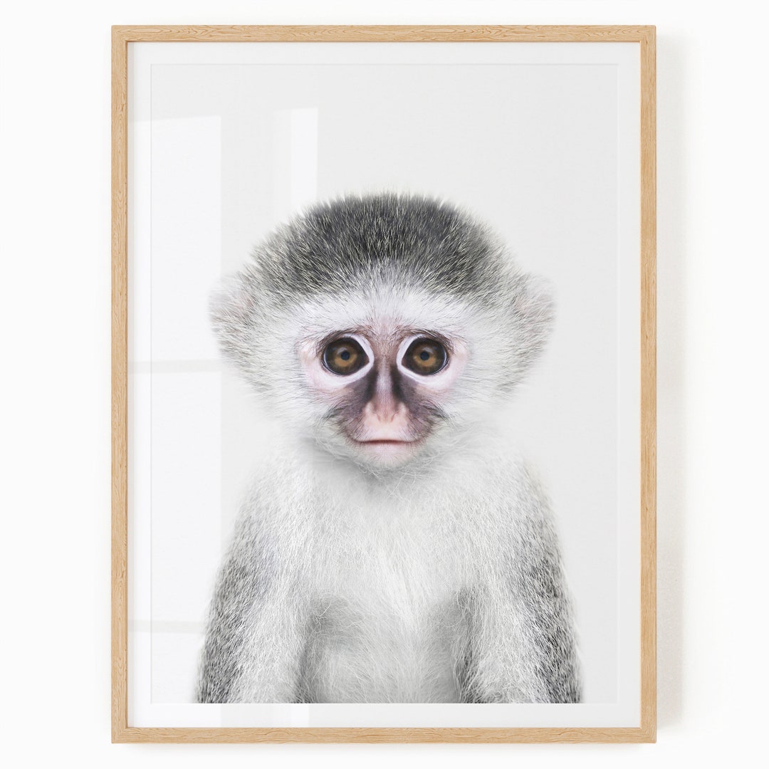 Baby Monkey Print - Nursery Monkey Wall Art - Printable Safari Animal ...