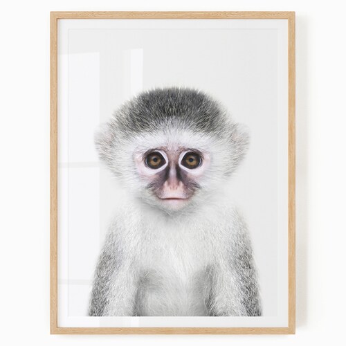 Animal Nursery Prints Monkey PRINTABLE Monkey Art Safari - Etsy