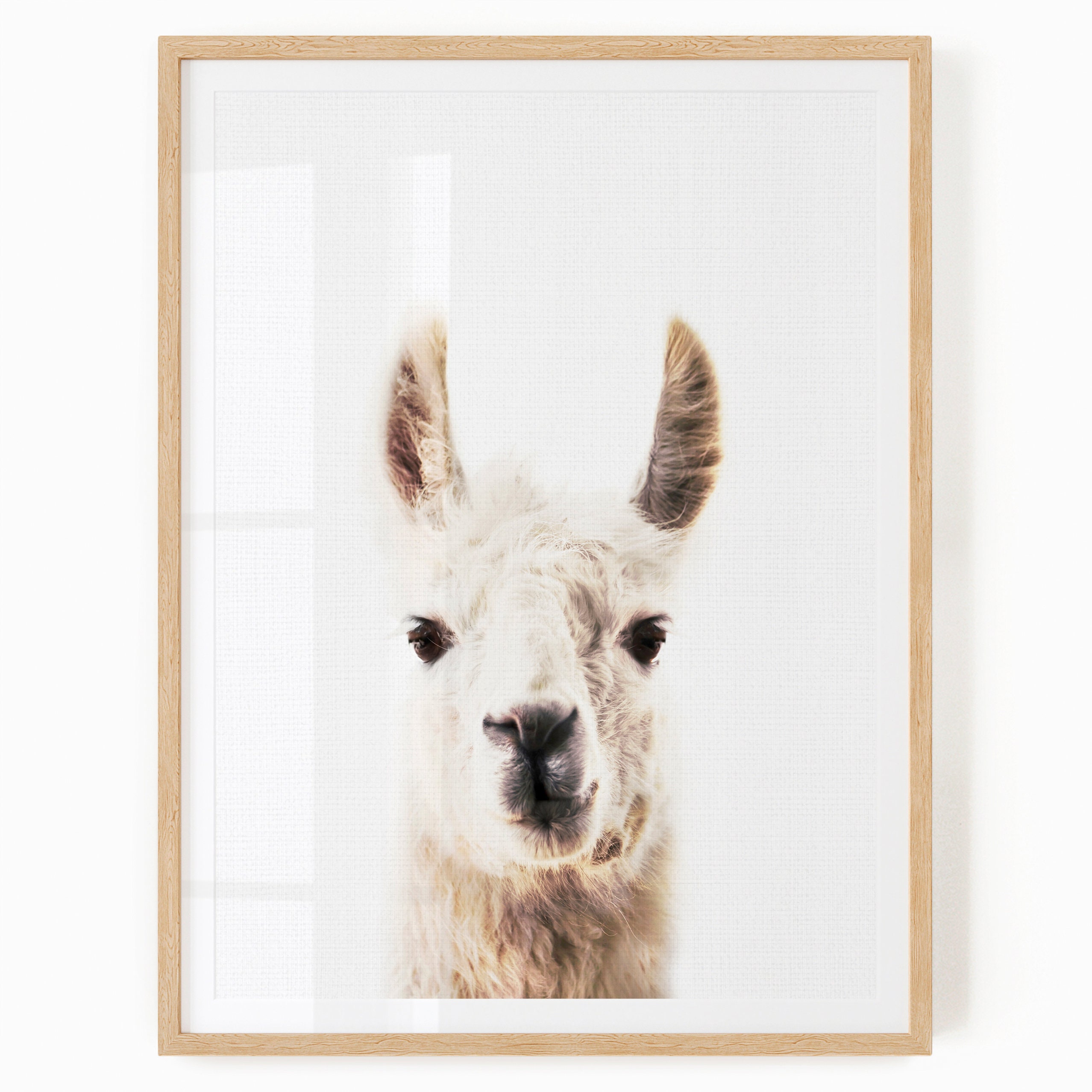 Llama Print