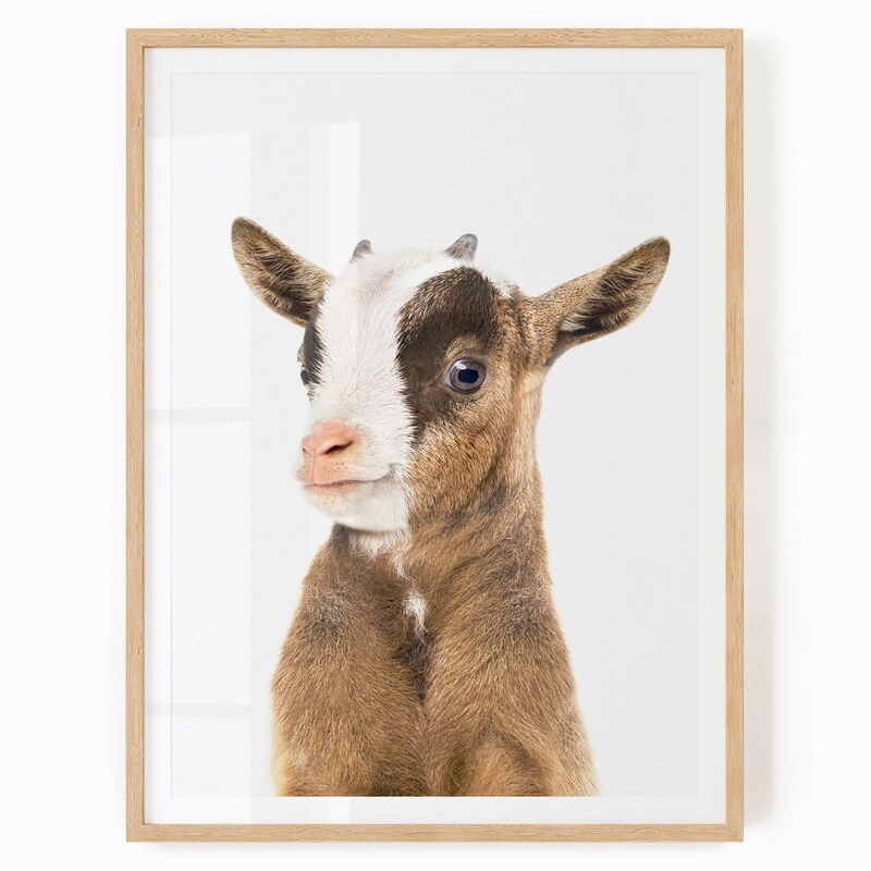 Goat Print - Etsy