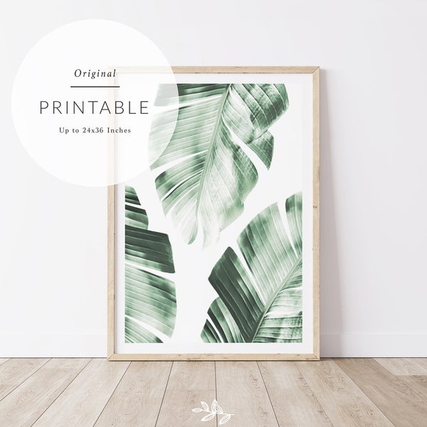 Banana Leaf Print - Etsy