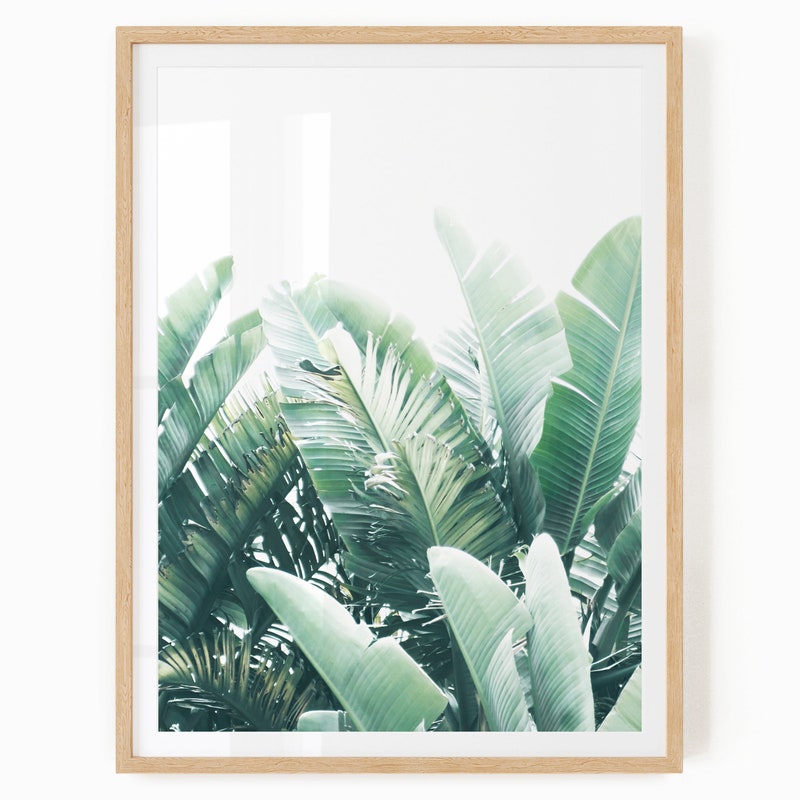 Banana Leaf - Etsy