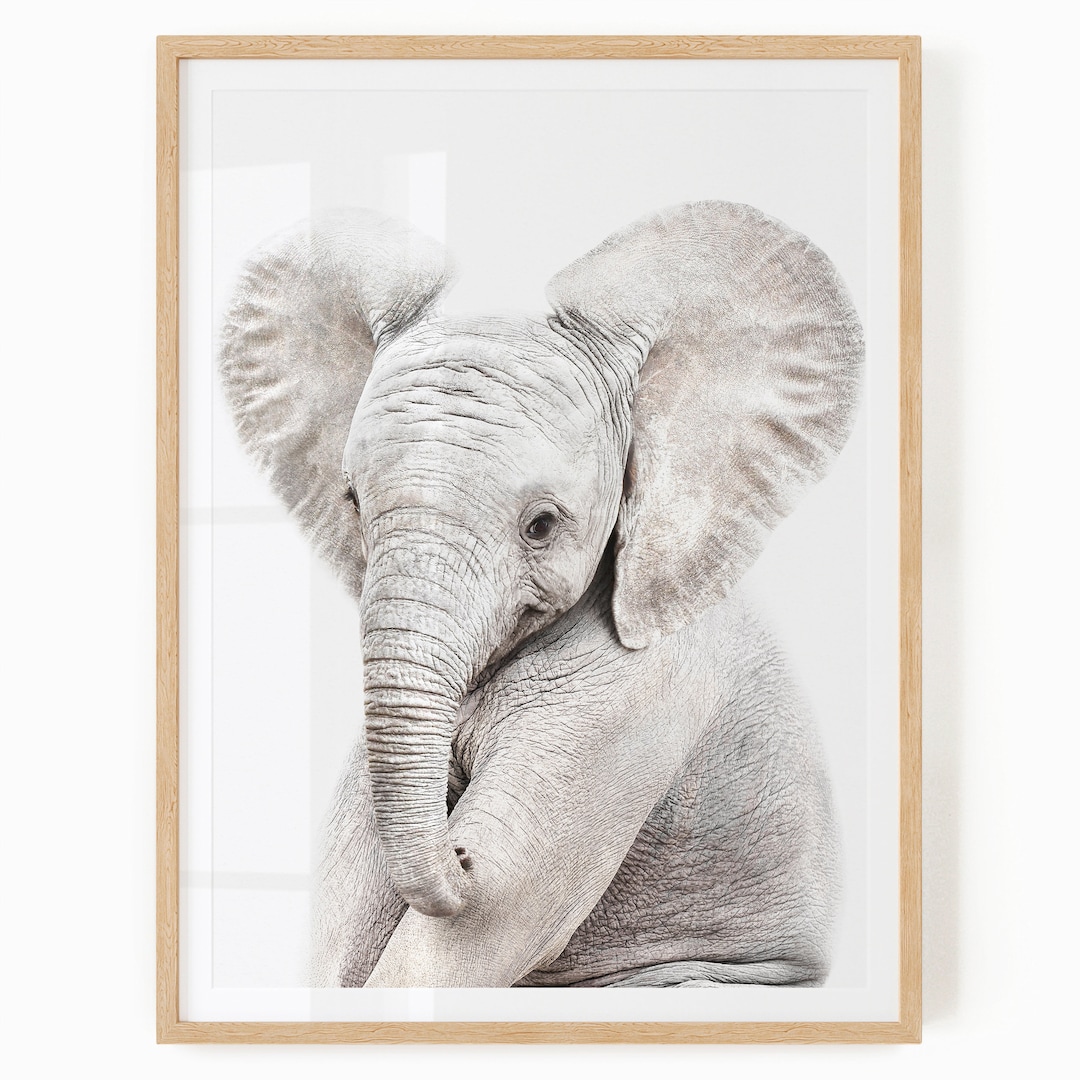 Elephant Printable Wall Art - Animal Picture for Baby and Kids Room ...