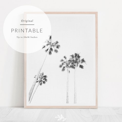 Palm Tree Print Black White Palm Tree Wall Art Palm Leaf Etsy