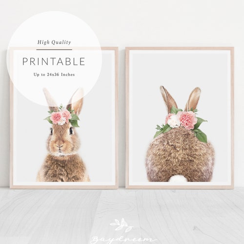 Set of Three Korean English Alphabet Posters With Animals | Etsy