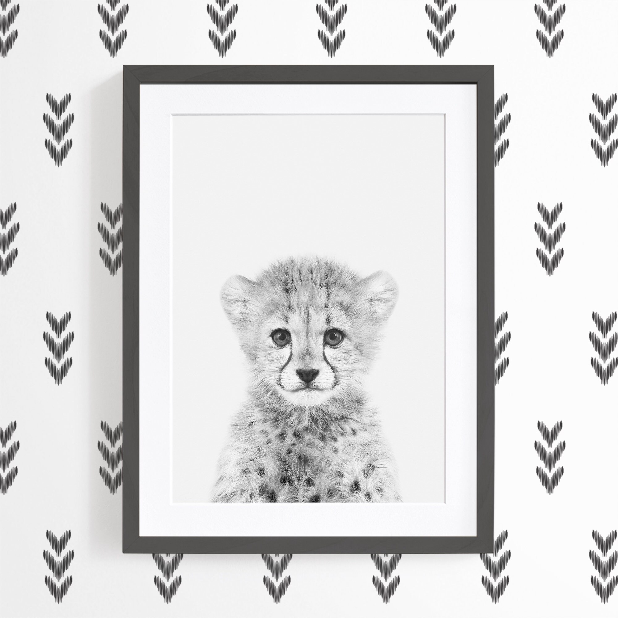 White Baby Cheetah
