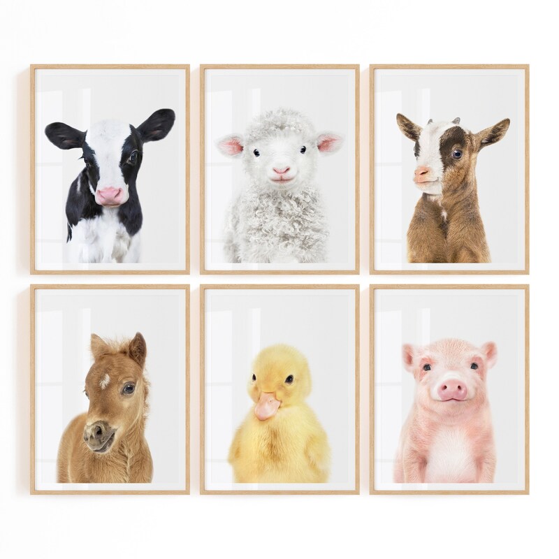 Farm Animal Art - Etsy