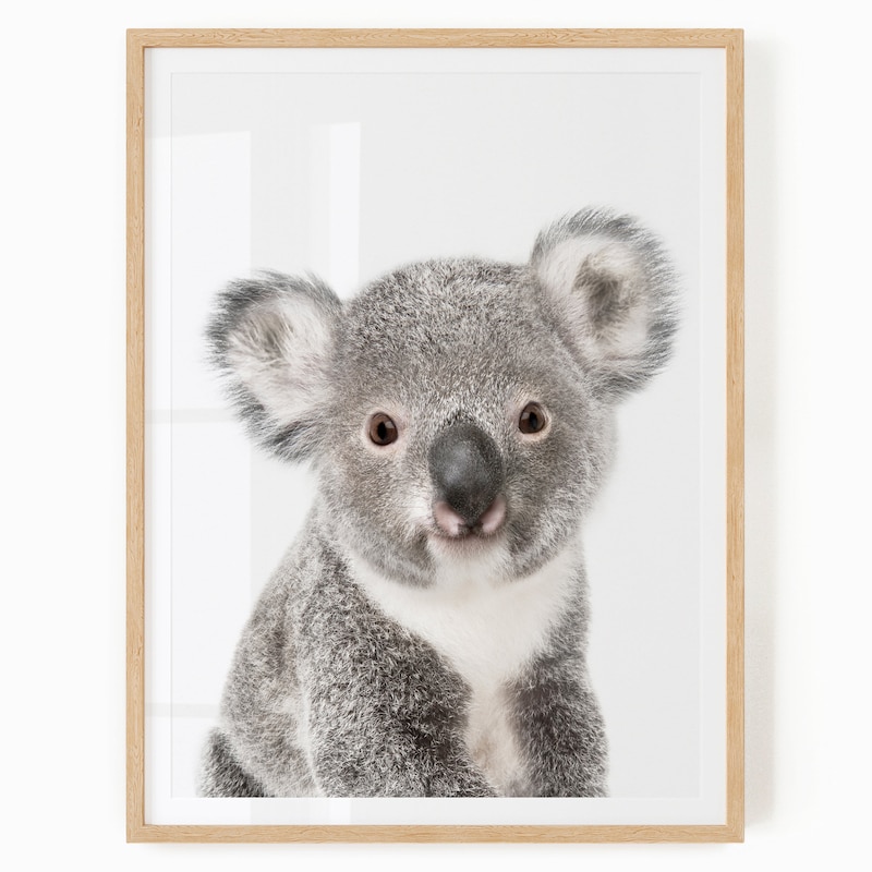 Koala Print - Etsy Australia