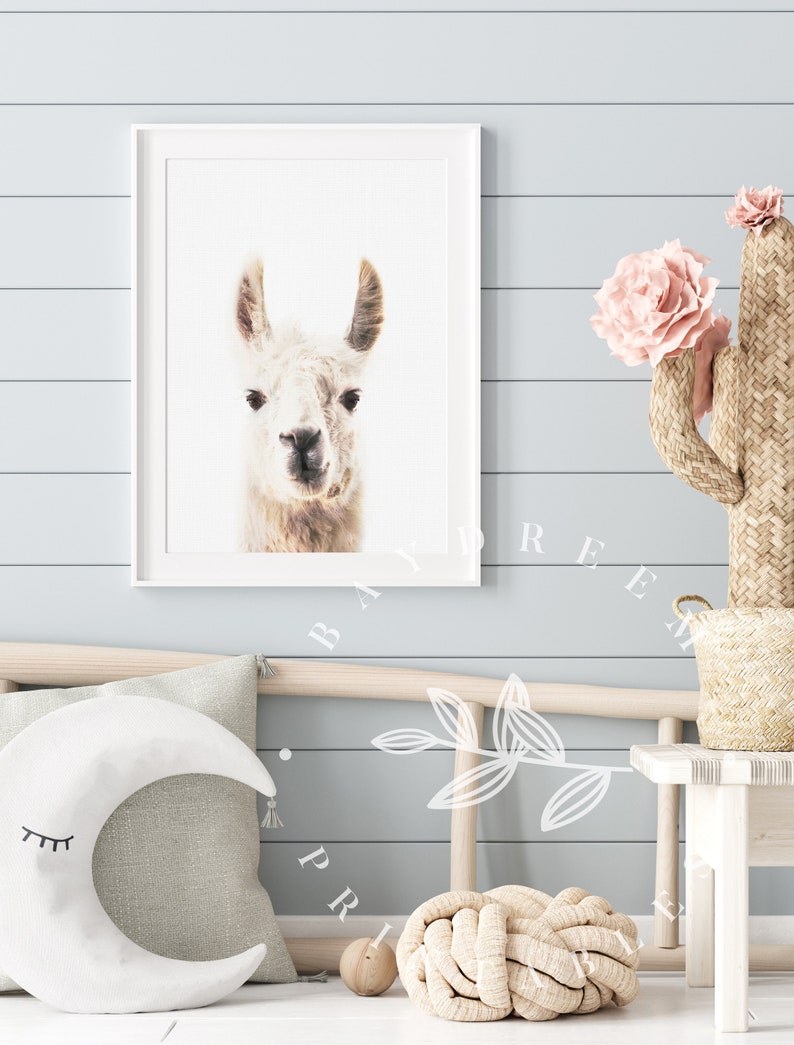 Llama Wall Art Llama Wall Decor Llama Nursery Print Llama - Etsy