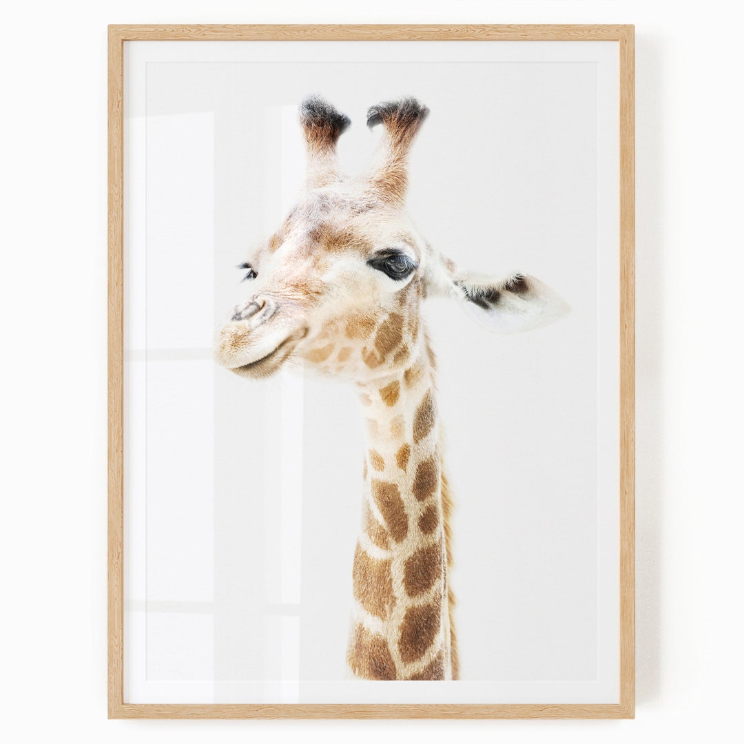Baby Giraffe Nursery Printable - Safari Theme Wall Art Digital Download ...