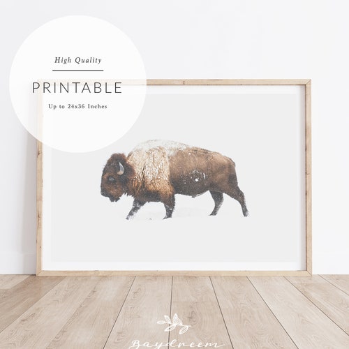 Bison Print Buffalo Print Bison Wall Art Nursery Decor - Etsy