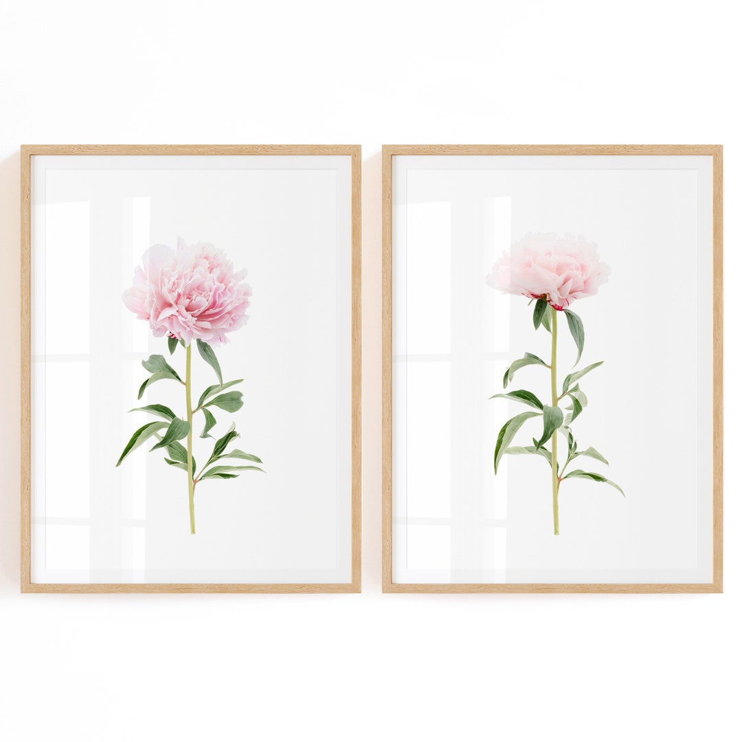 Pink Flower Prints Digital Download - Spring Art Set of 2 - Peony ...