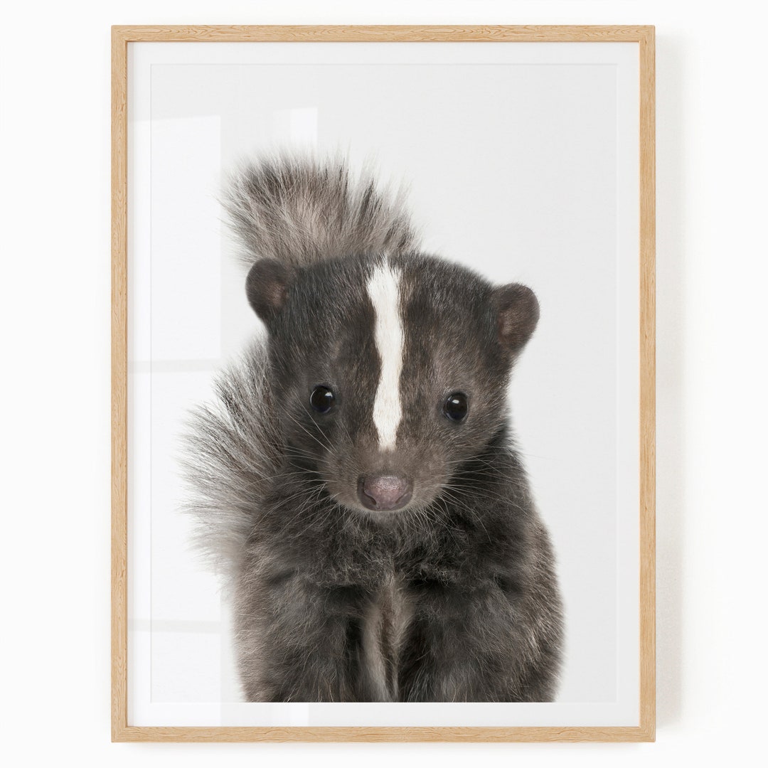 Baby Skunk Nursery Printable - Woodland Theme Decor - Forest Animal ...