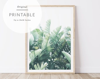 Banana Leaf Poster | Etsy