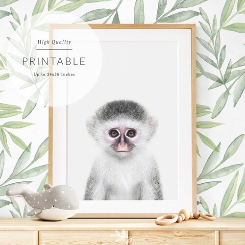 Baby Monkey Print Baby Monkey Wall Art Baby Animal Prints - Etsy