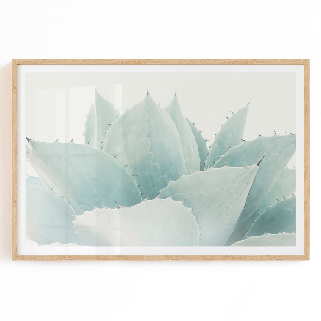 Desert Plant Art Digital Download - Agave Print - Boho Botanical Art ...