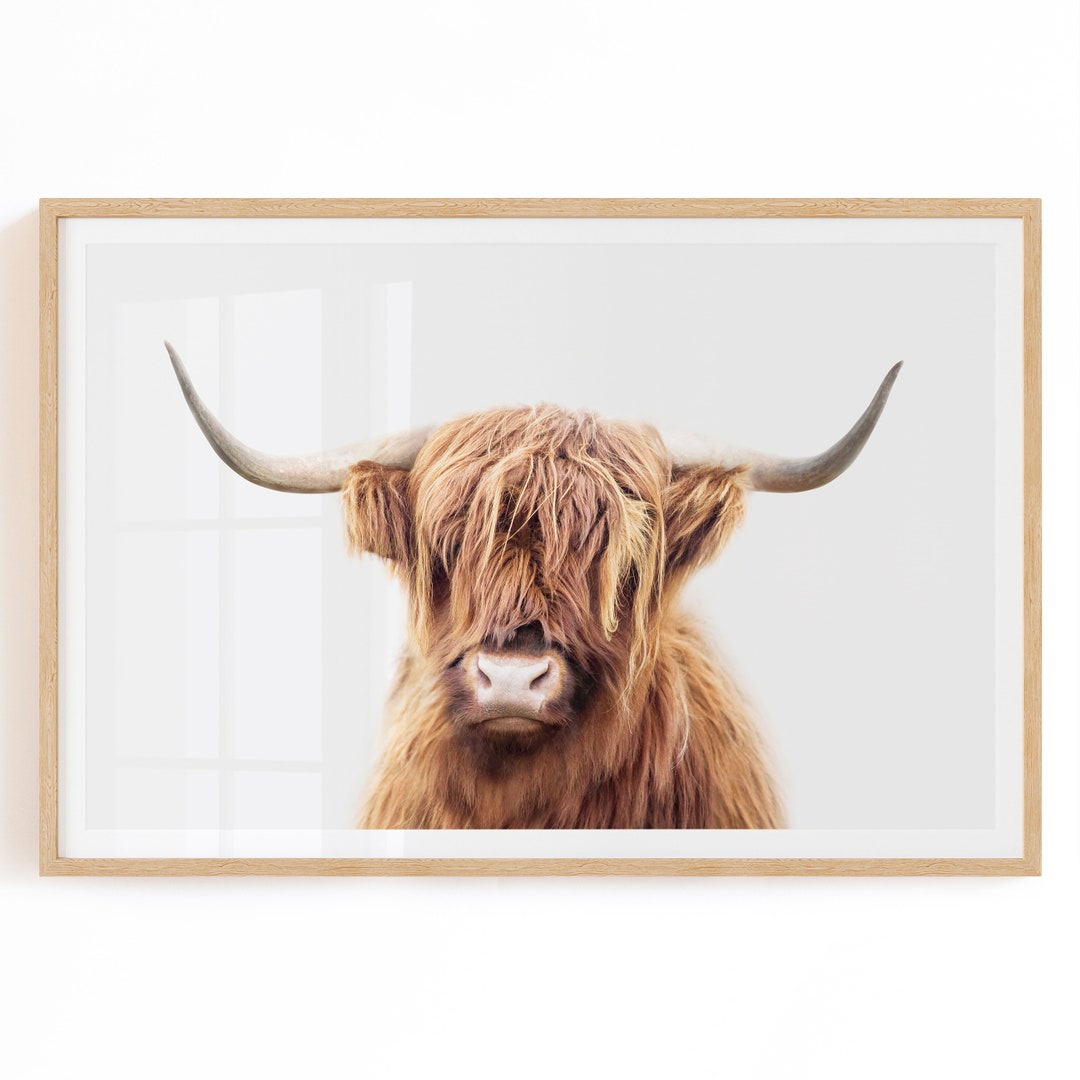 Highland Cow Wall Art - Cow With Horns - Brown Cow Print - Highland Cow ...