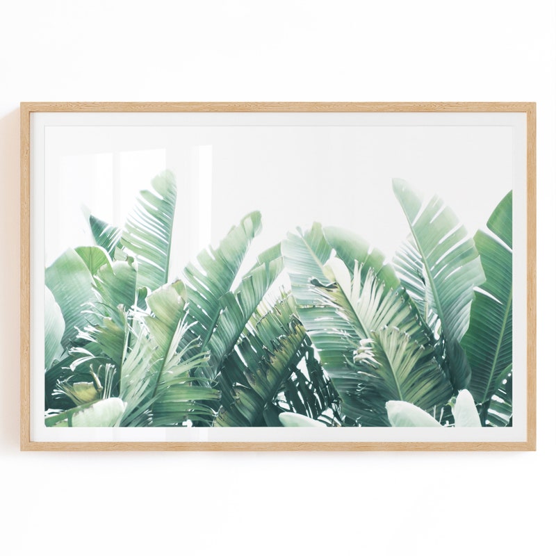 Banana Leaf Poster - Etsy