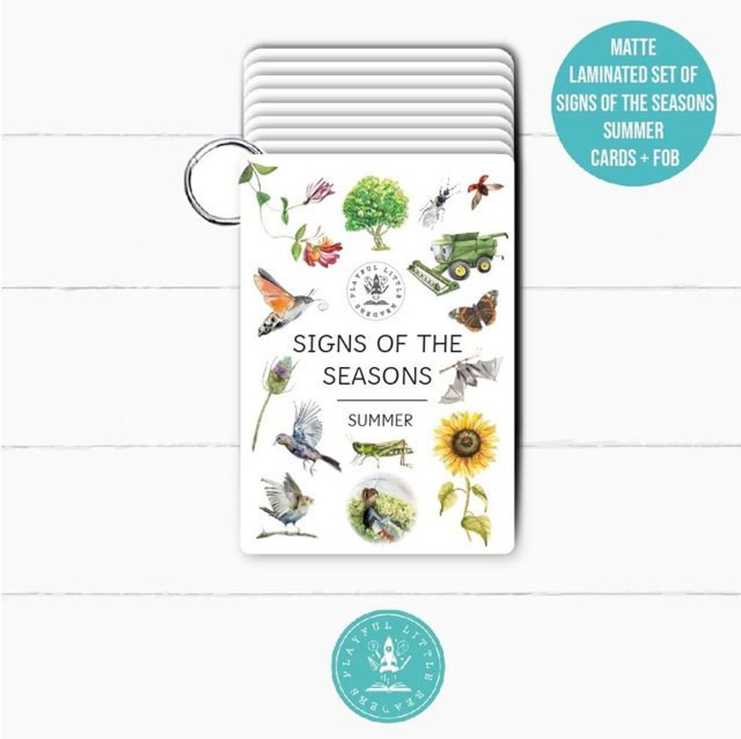 Signs of the Seasons Summer Flashcards Educational - Etsy
