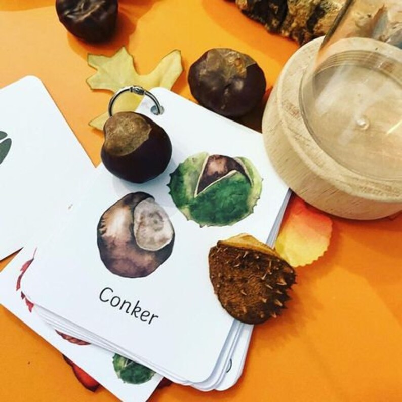 Signs Of The Seasons Otoño / Flashcards / Educativo / Recursos de ...