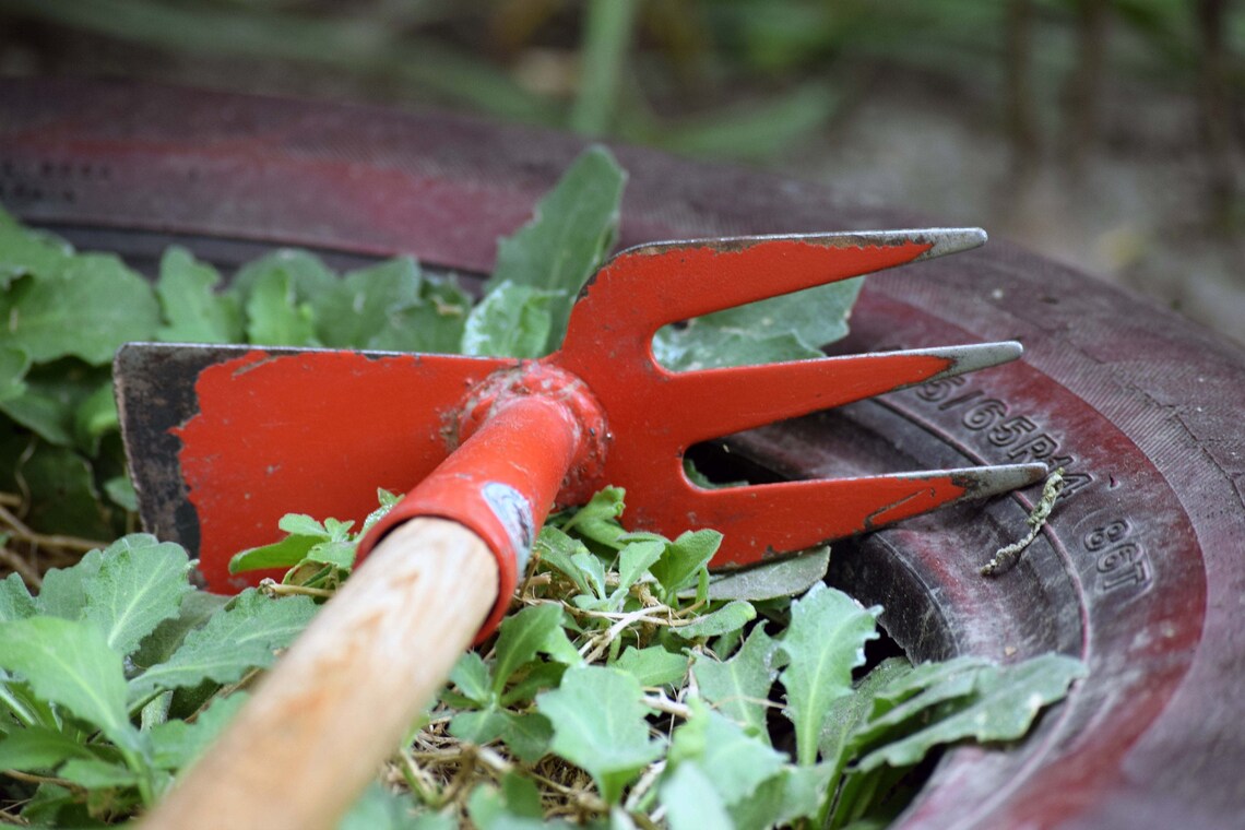 Small Garden Hoe, Vintage Hoe, Hand-held Garden Hoe, Metal Pick, Small ...