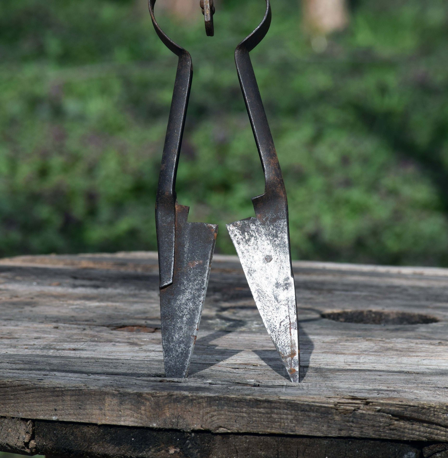 Old Rusty Scissors, Antique Scissors, Vintage Scissors, Sheep Scissors ...