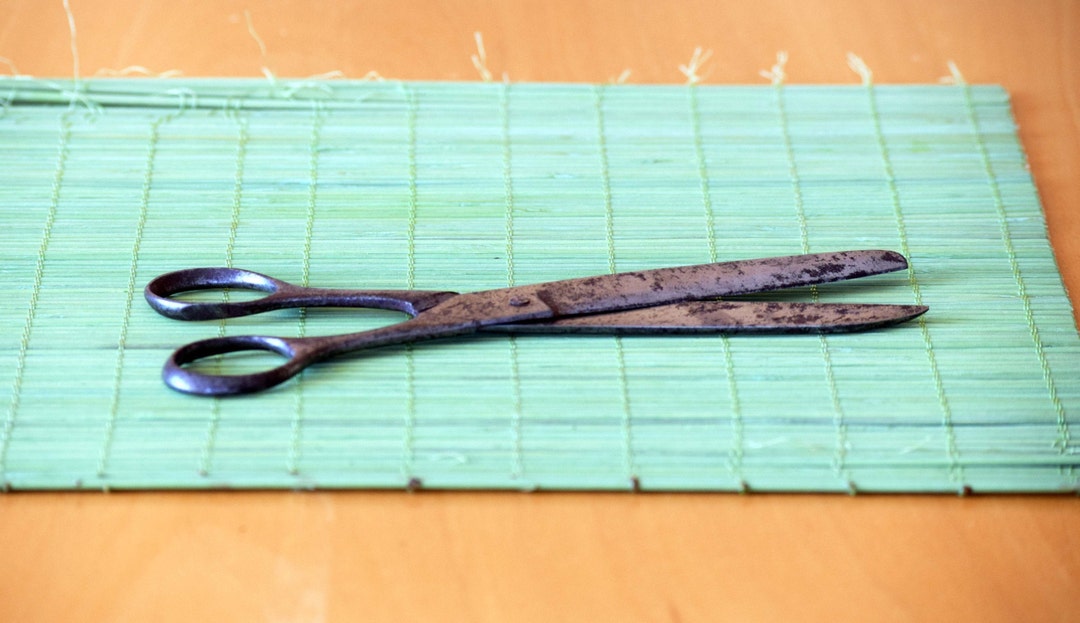 Sewing Scissors, Vintage Scissors 1882, Antique Iron Scissors, Old ...