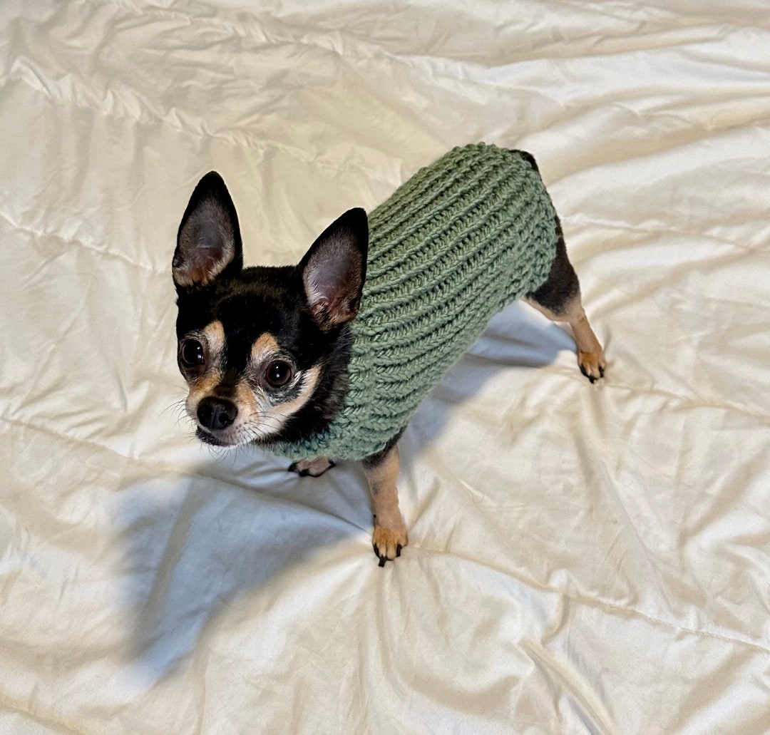 Dog Sweater, Cute Dog Sweater, Handknitted, Chihuahua, Yorkie, Puppy ...