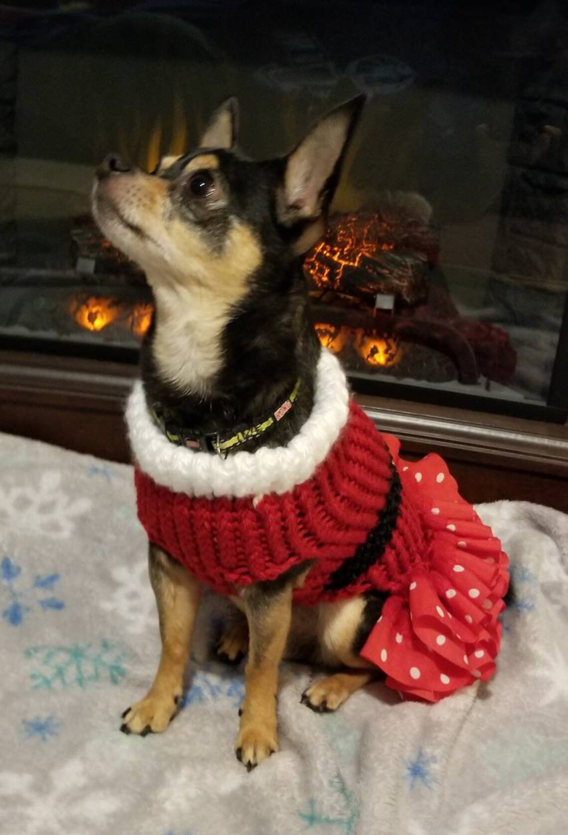 Christmas Mrs Santa Claus Dog SweaterSanta dog | Etsy