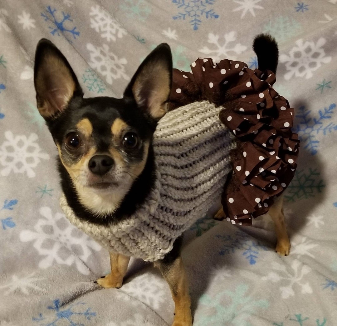Dog Sweater, Cute Dog Sweater, Chihuahua, Yorkie, Small Dog Sweater ...
