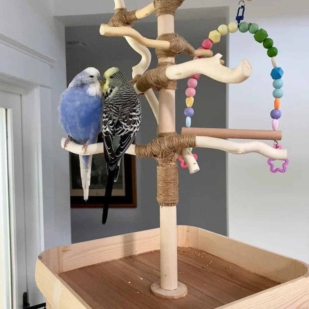 Natural Corkscrew Willow Bird Play Stand: Portable Parrot Perch, Conure ...