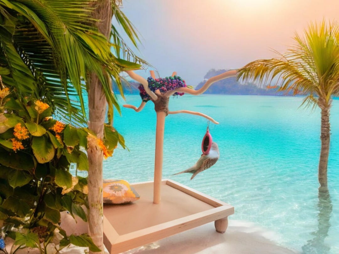 One-foot Stand, Minimalist, Portable & Convenient, Budgies, Lovebirds ...