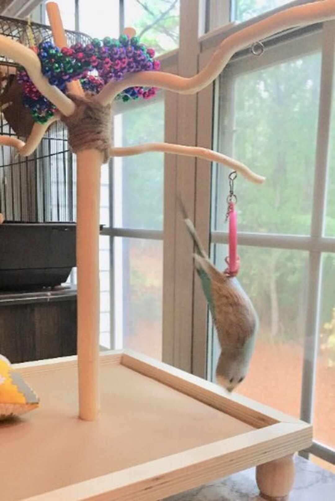 Minimalist One-foot Stand, Portable & Convenient, Budgies, Lovebirds - Etsy