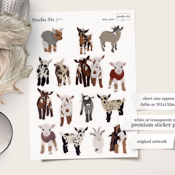 Cute Baby Goat - Etsy