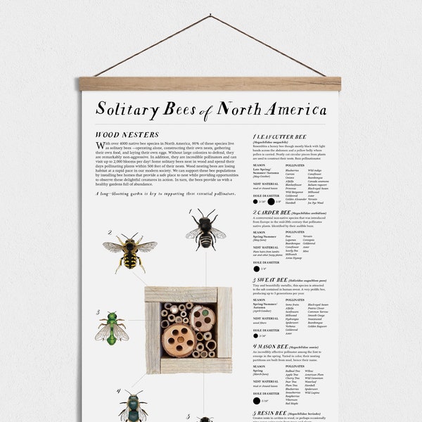 Scientific Bee Print - Etsy