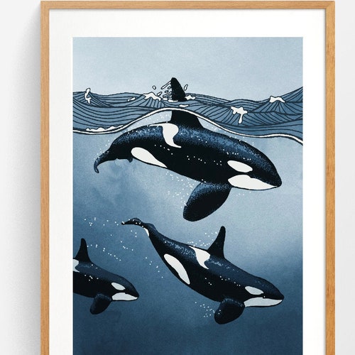 Orca Pod Print Illustrated Art Poster of Killer Whales in | Etsy
