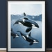 Orca Pod Print - Illustrated Art Poster of Killer Whales in Hand Drawn ...