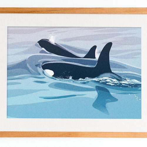 Orca Pod Print Illustrated Art Poster of Killer Whales in | Etsy