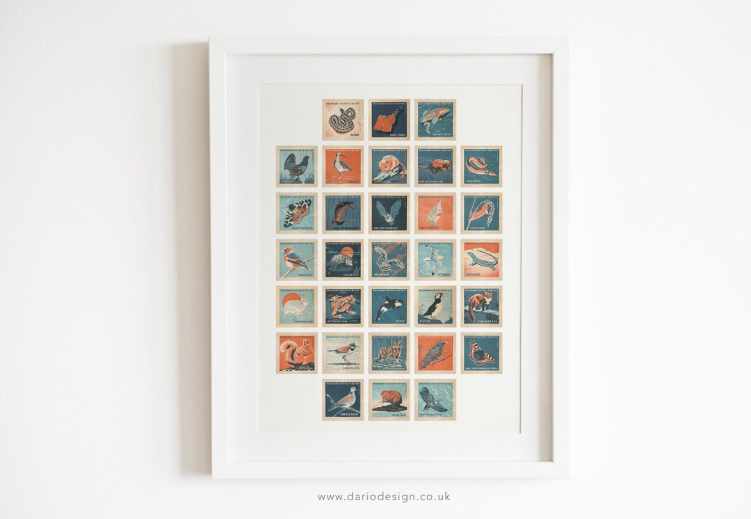 UK Endangered Species - Retro Matchbox Illustration Montage by British ...