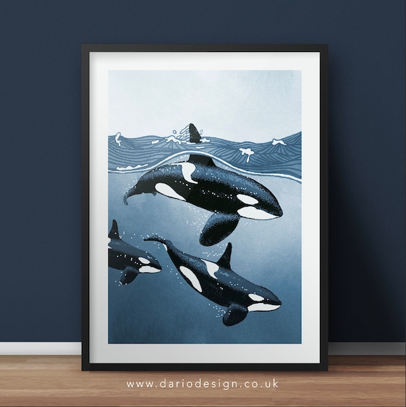 Pod Of Orcas Drawing