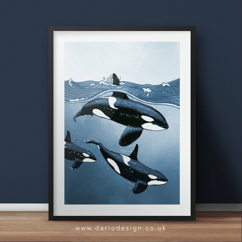 Orca Pod Print Illustrated Art Poster of Killer Whales in - Etsy