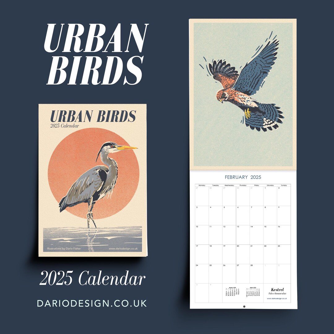 Urban Birds 2025 Illustrated Calendar of Urban City Birds Including ...