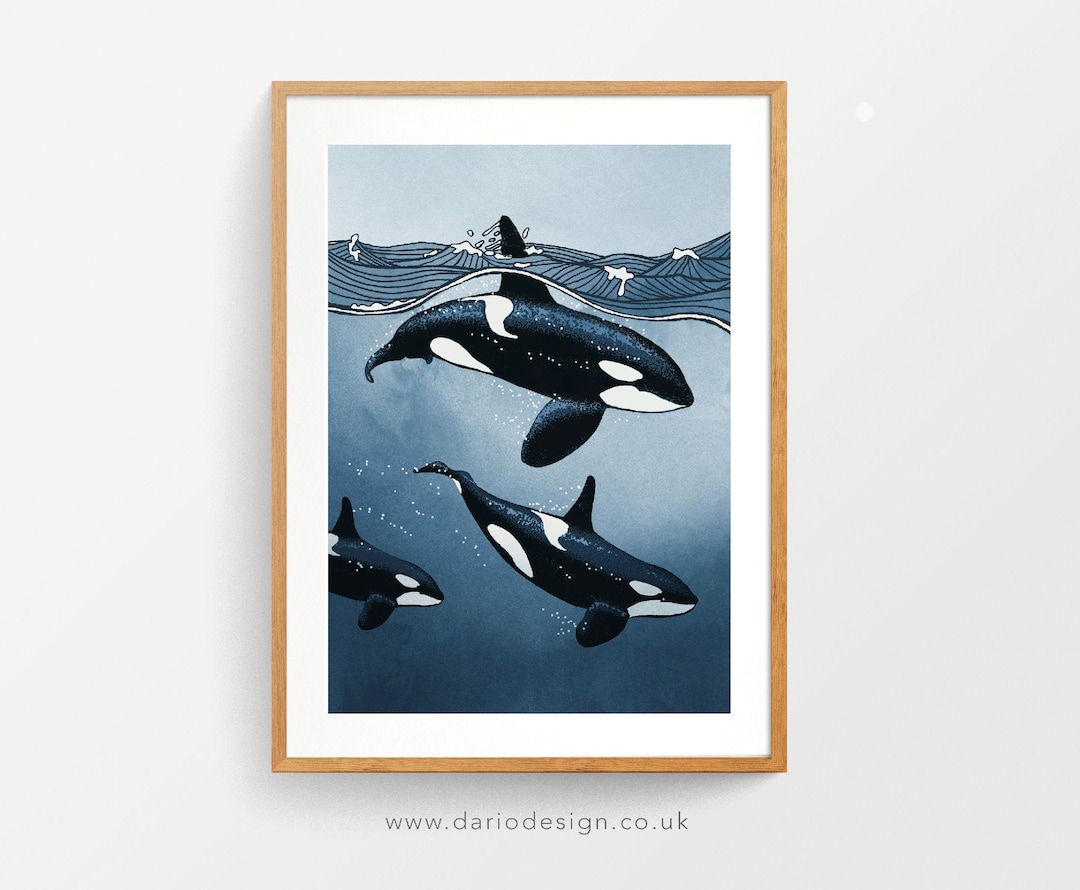 Orca Pod Print - Illustrated Art Poster of Killer Whales in Hand Drawn ...