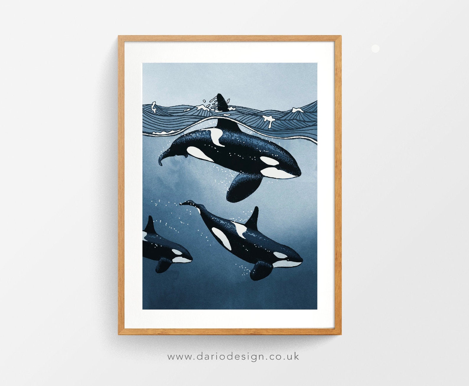Orca pod print illustrated art poster of killer whales in | Etsy