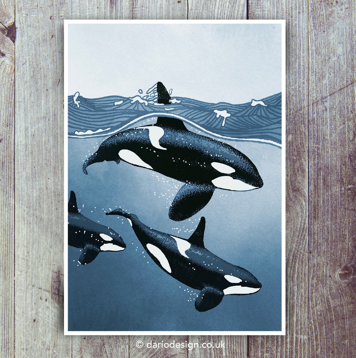 Orca Pod Print - Illustrated Art Poster of Killer Whales in Hand Drawn ...