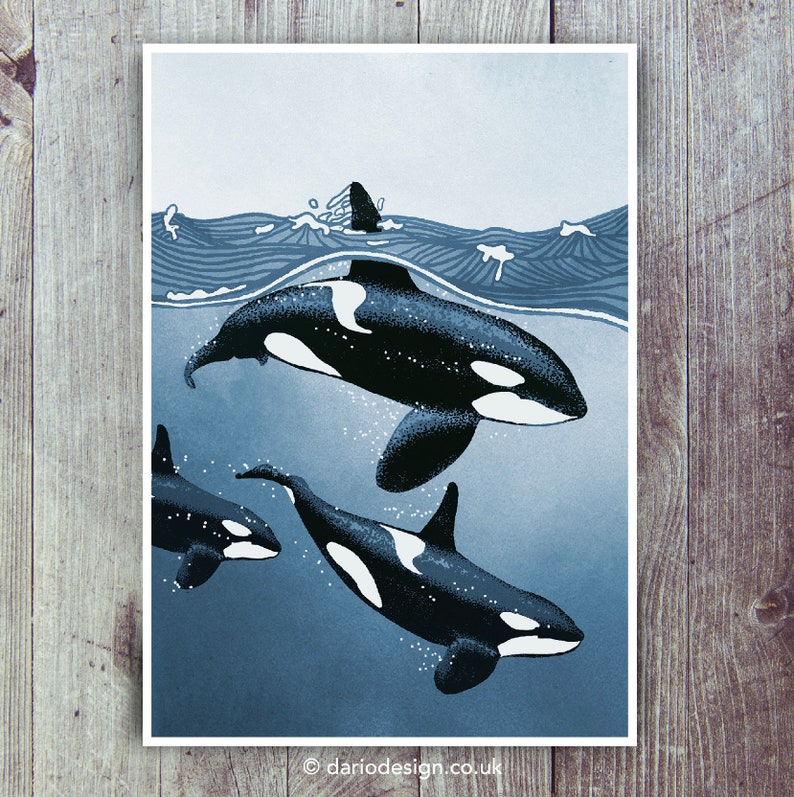 Orca Pod Print Illustrated Art Poster of Killer Whales in - Etsy