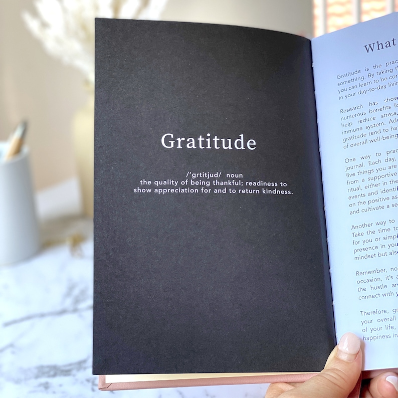 Pink Gratitude Journal – Daily Reflections, Inspirational Quotes, 90 ...