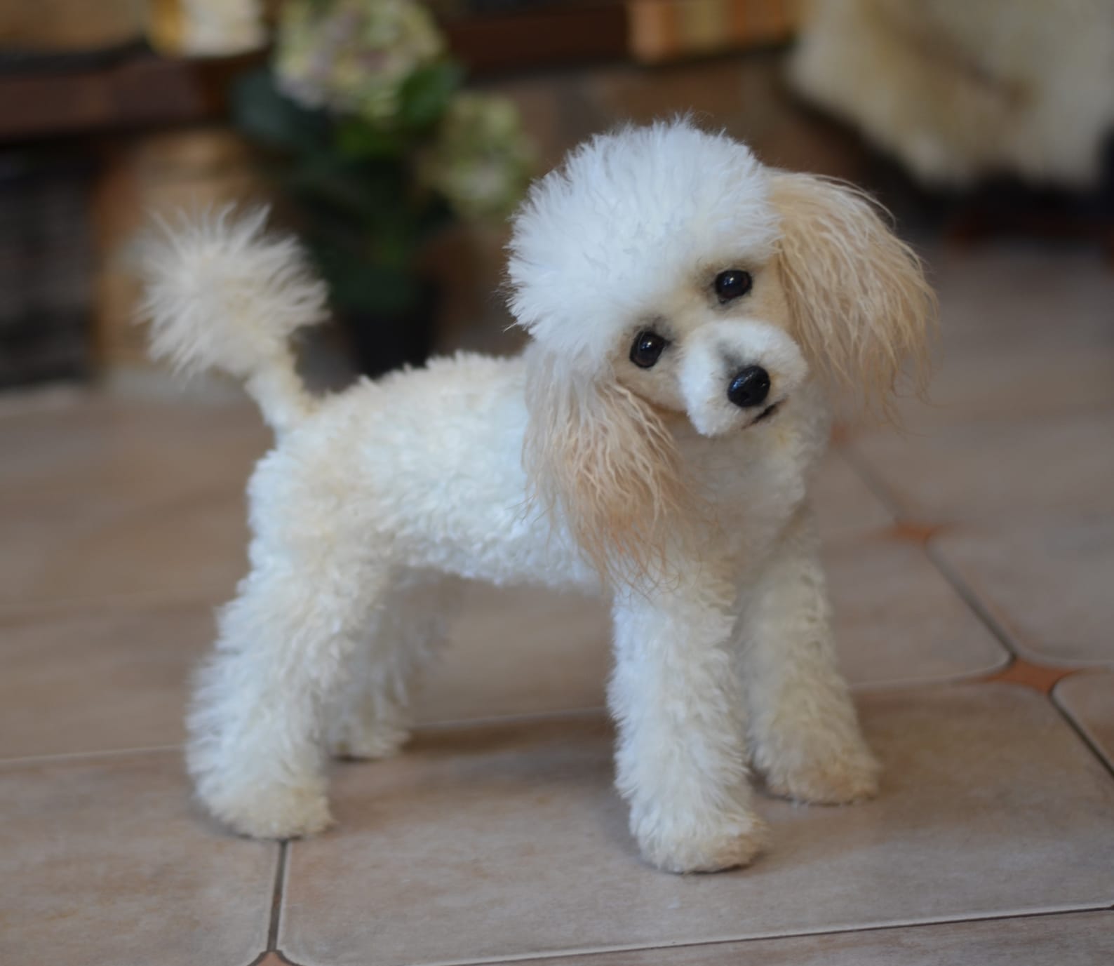 Olivia little poodle Realistic plush toy natural life-size | Etsy